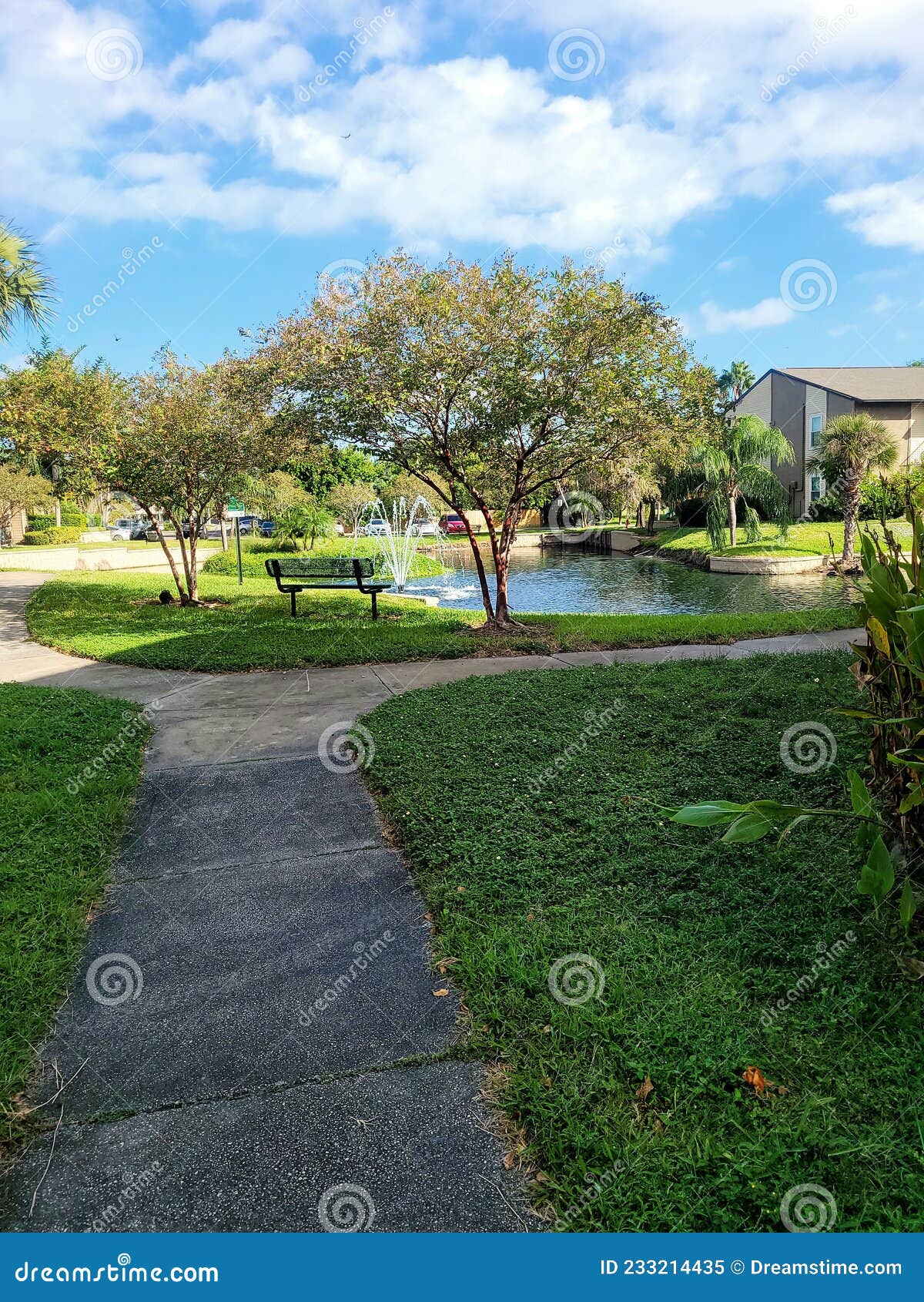 Quick look green scene stock image. Image of tree, green - 233214435