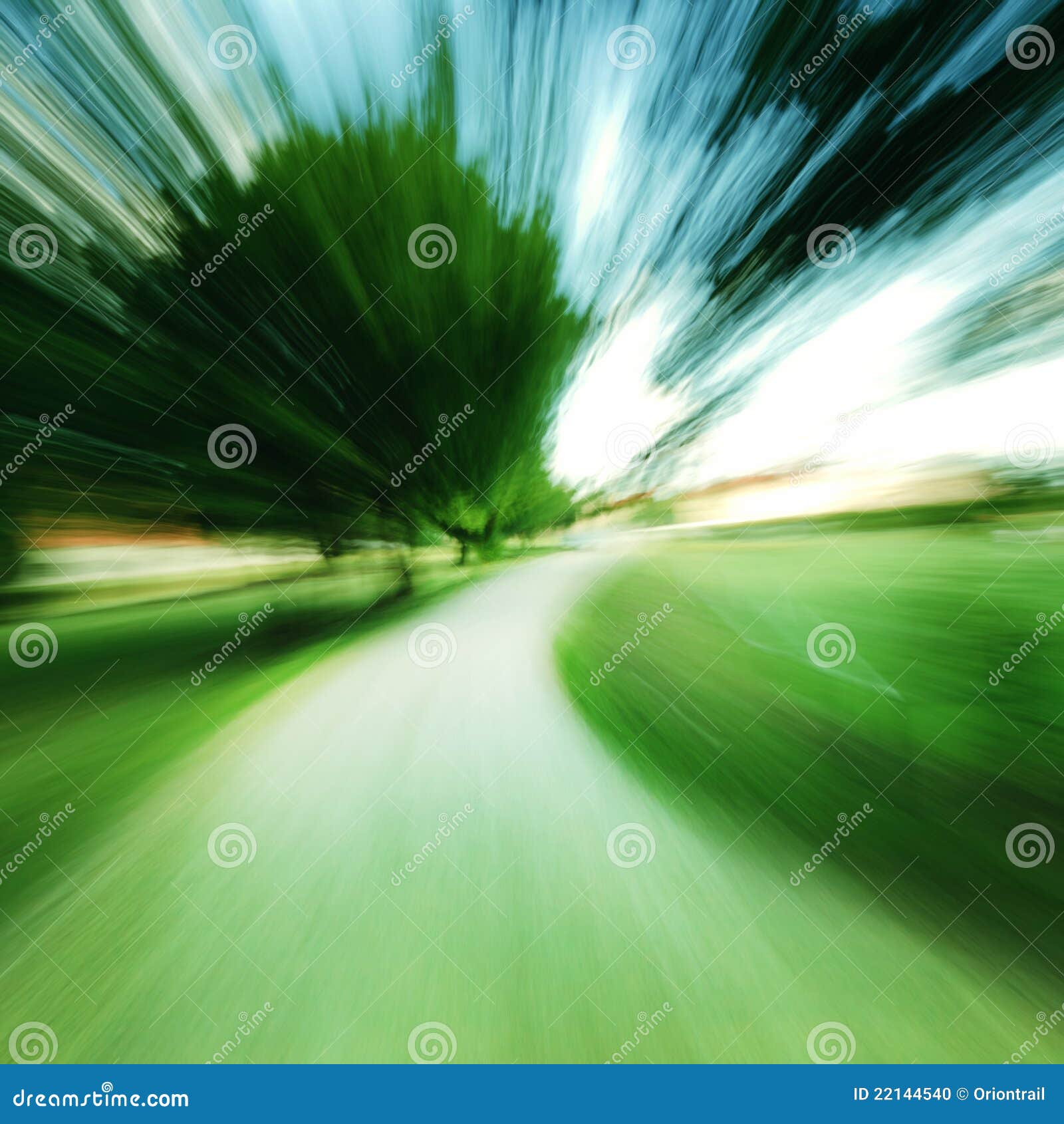 Quick Movement Zoom in Forest Stock Photo - Image of colors, quick ...