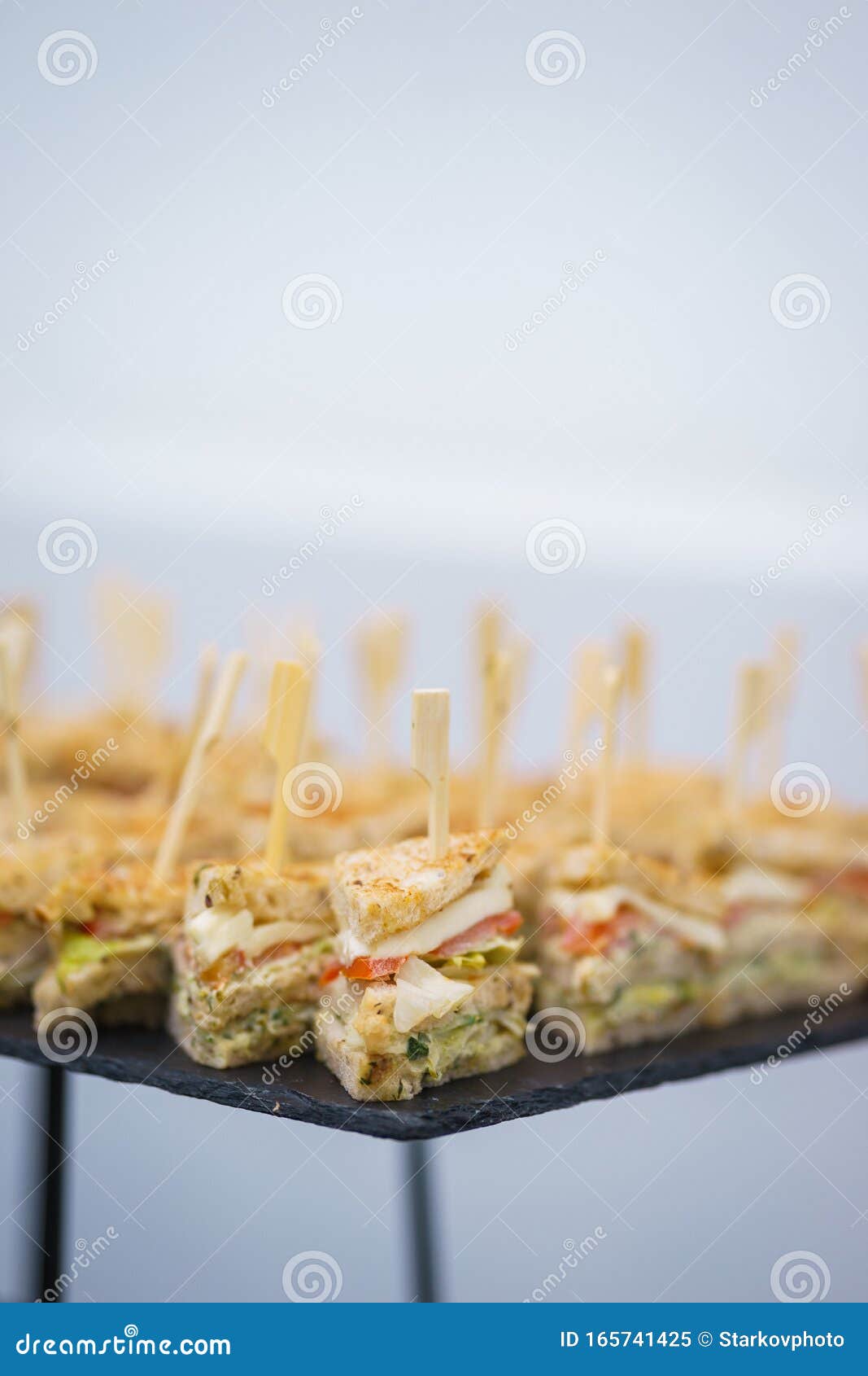 Quick Snacks, Canapes, Mini Sandwiches with Ham, Tuna, Vegetables and ...