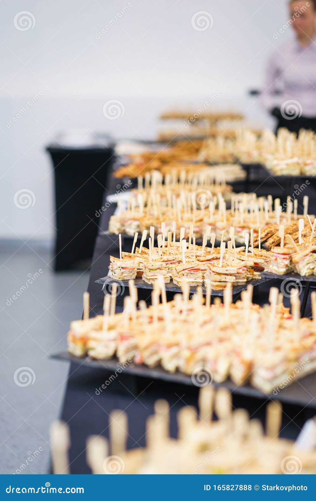 Quick Snacks, Canapes, Mini Sandwiches with Ham, Tuna, Vegetables and ...