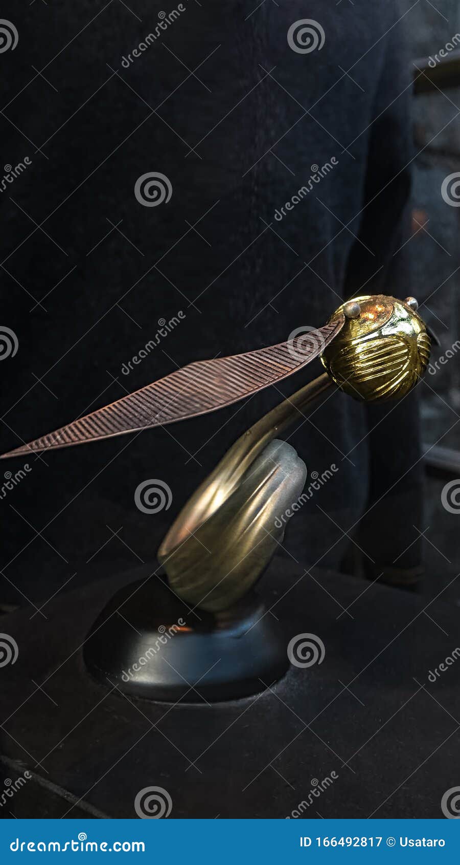 Quidditch balls editorial photography. Image of quidditch - 166492817