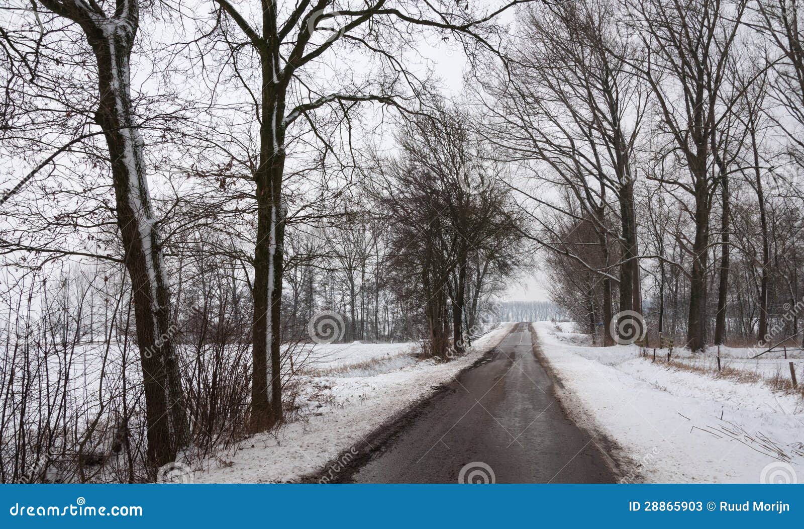 Quiet Asphalt Road in a Wintry Snow Landscape Stock Image - Image of ...