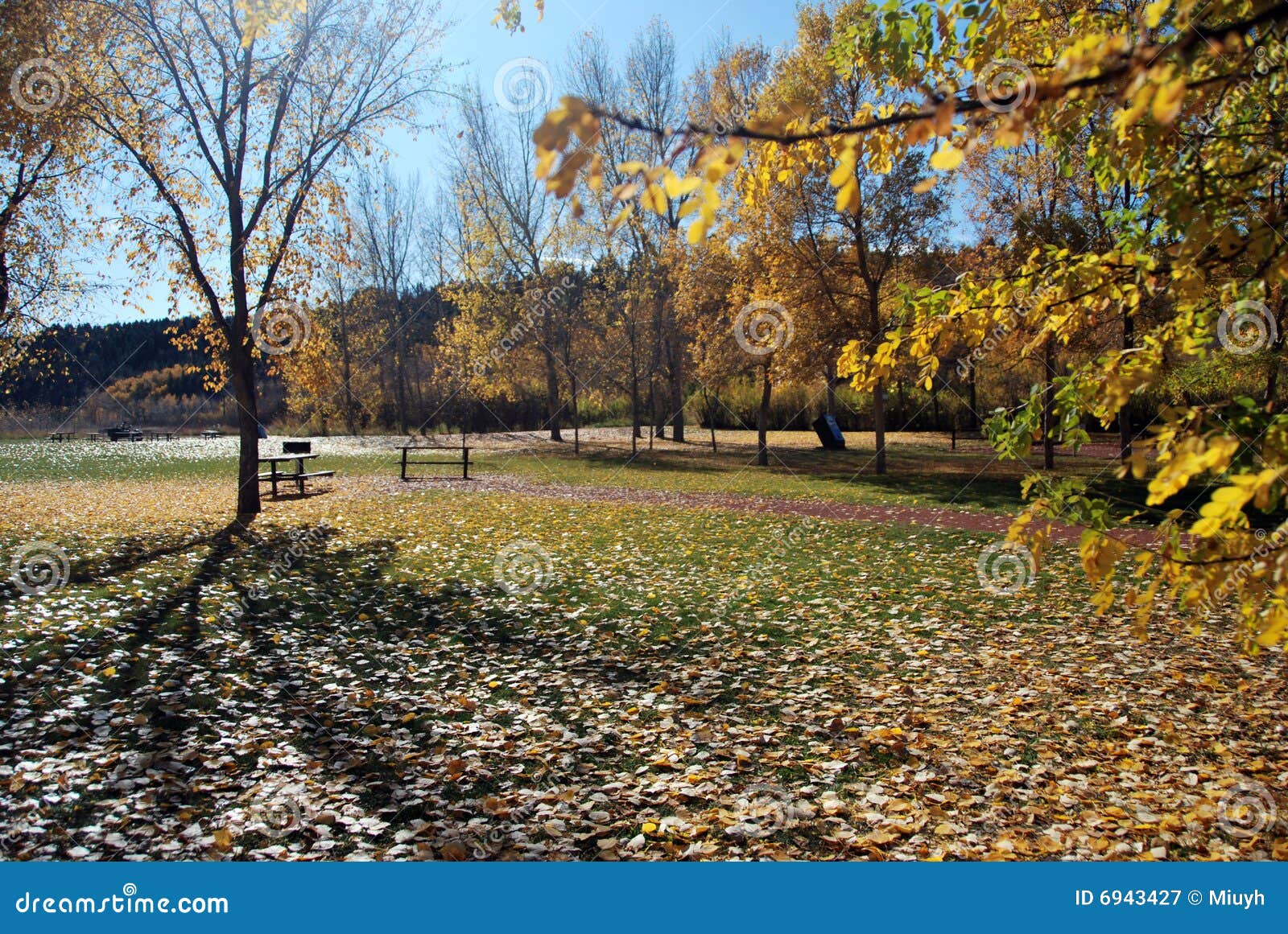 Quiet Autumn Park stock image. Image of orange, alberta - 6943427