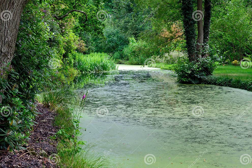 A Quiet Backwater stock photo. Image of leisure, norfolk - 20904020