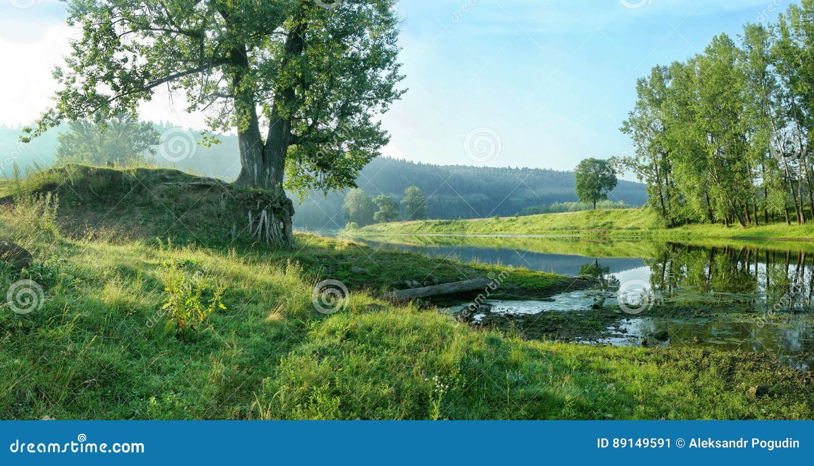 Quiet Backwater River Background Forest Slope Stock Photos - Free ...