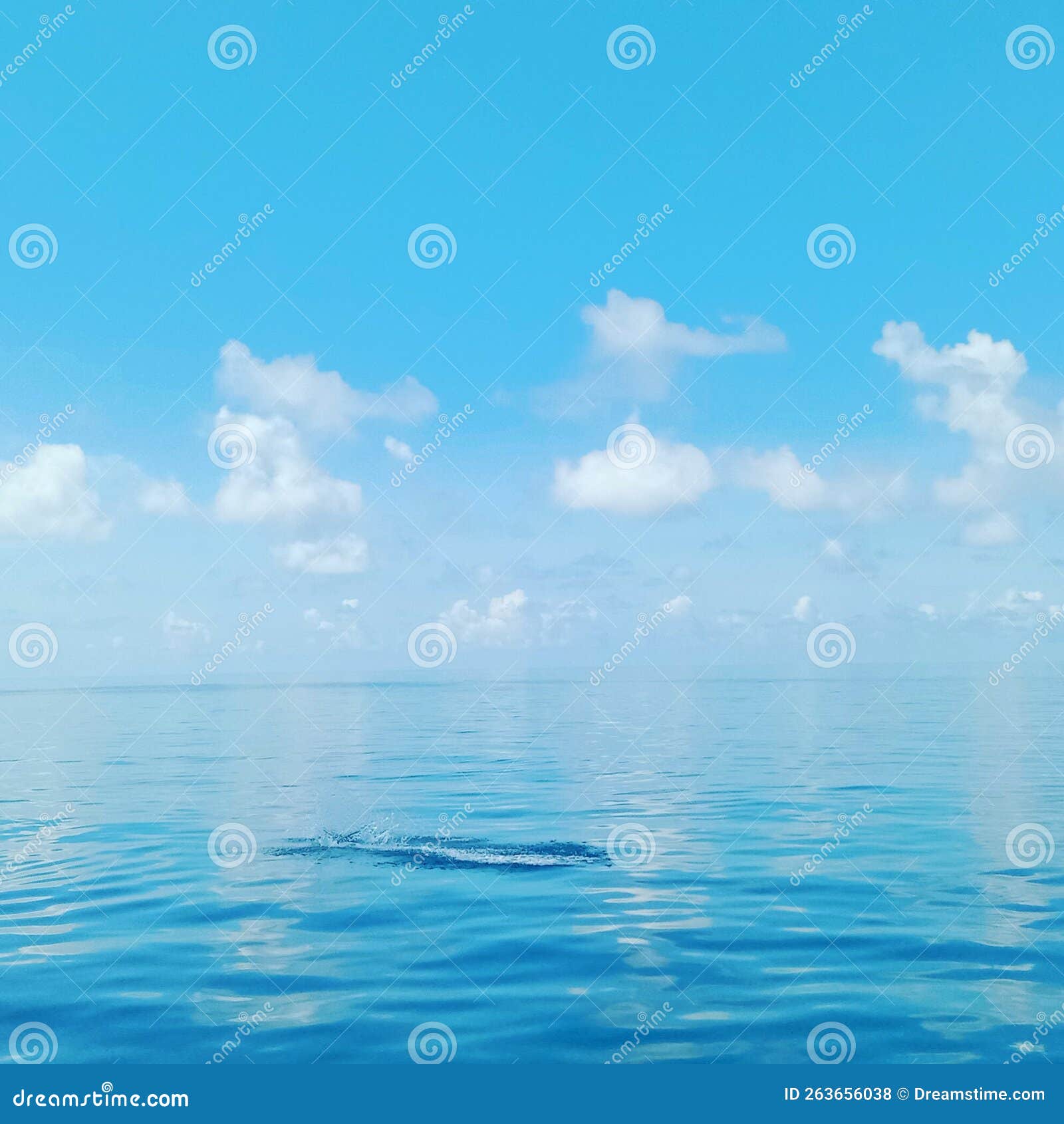 A quiet blue sea stock photo. Image of wave, shore, azure - 263656038