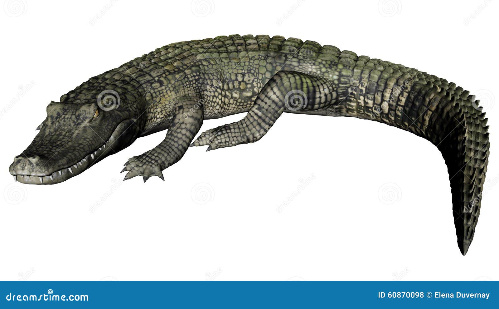 Caiman Cartoons, Illustrations & Vector Stock Images - 2096 Pictures to ...