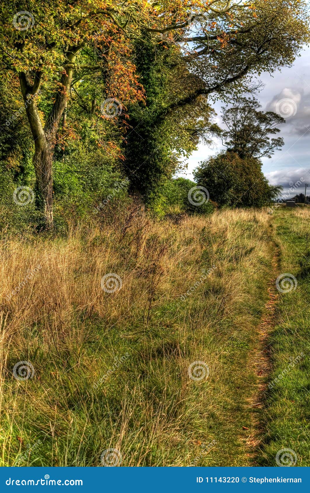 Quiet countryside pathway stock photo. Image of lawn - 11143220