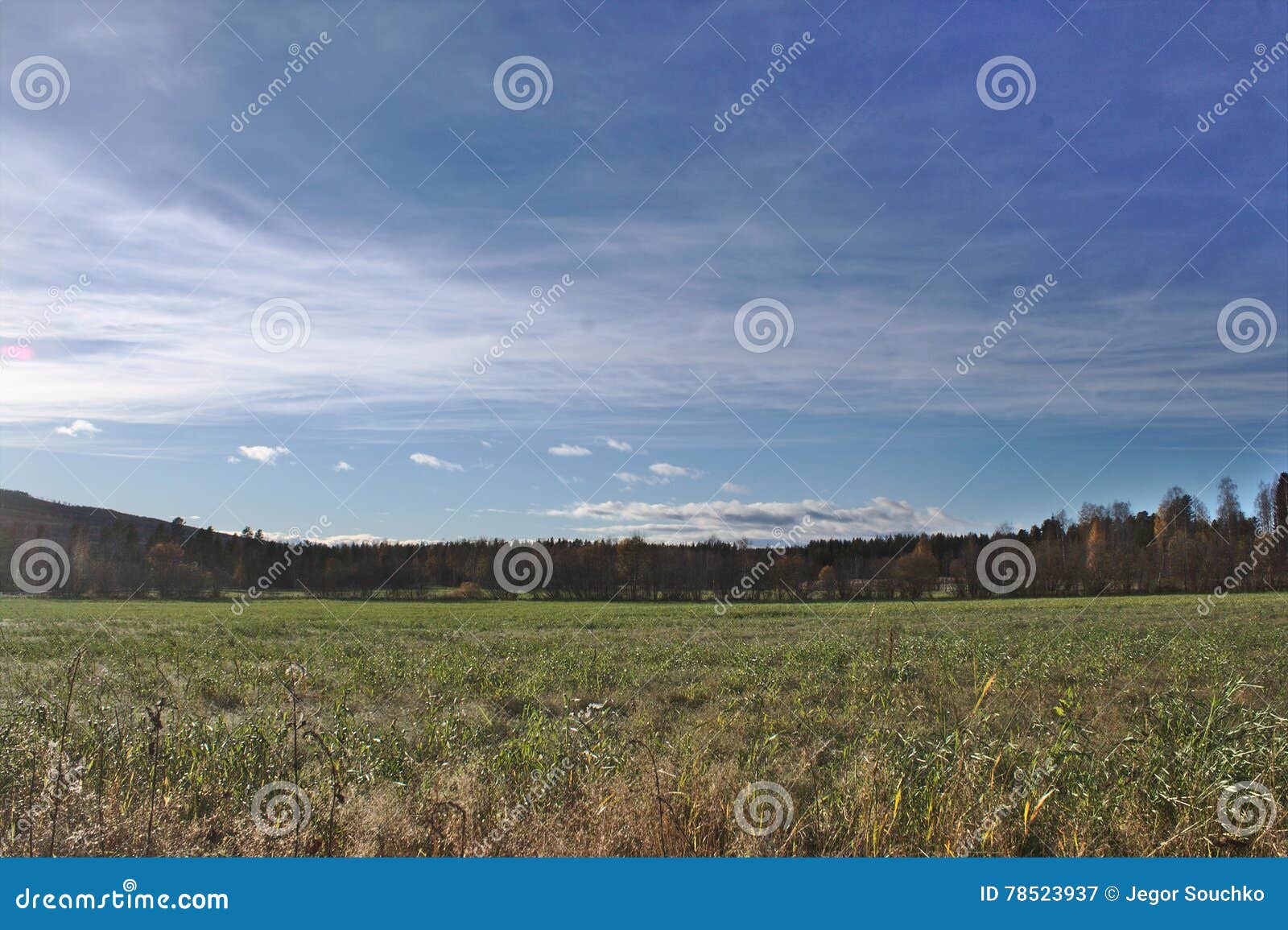 Quiet field stock image. Image of field, trees, deep - 78523937