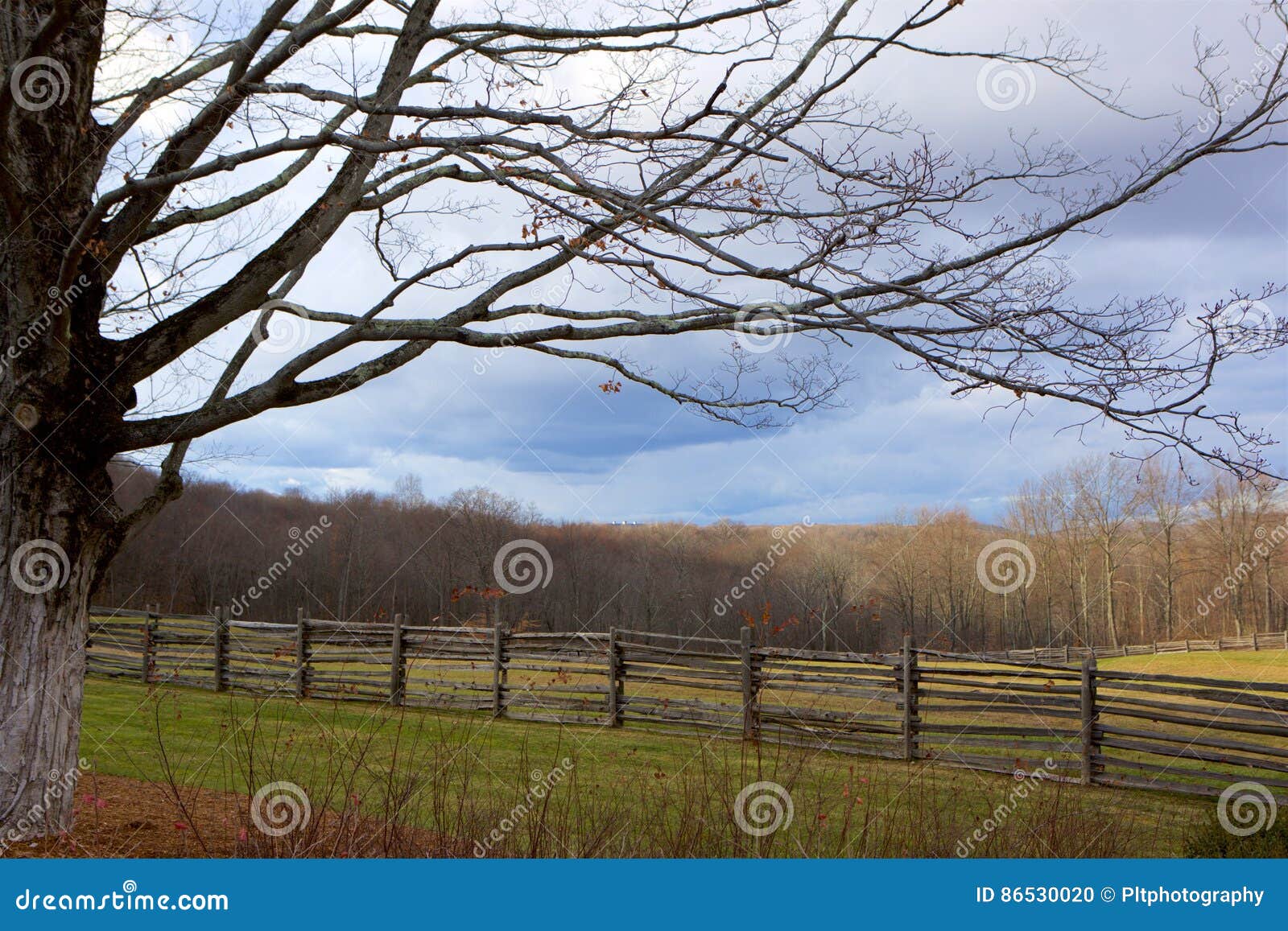Quiet Fields stock photo. Image of agriculture, alone - 86530020
