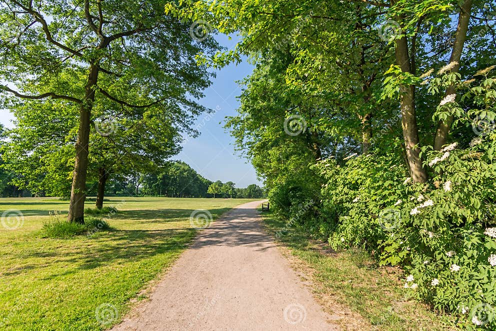 Quiet Foot Path in a Park in Summer Stock Image - Image of parkway ...