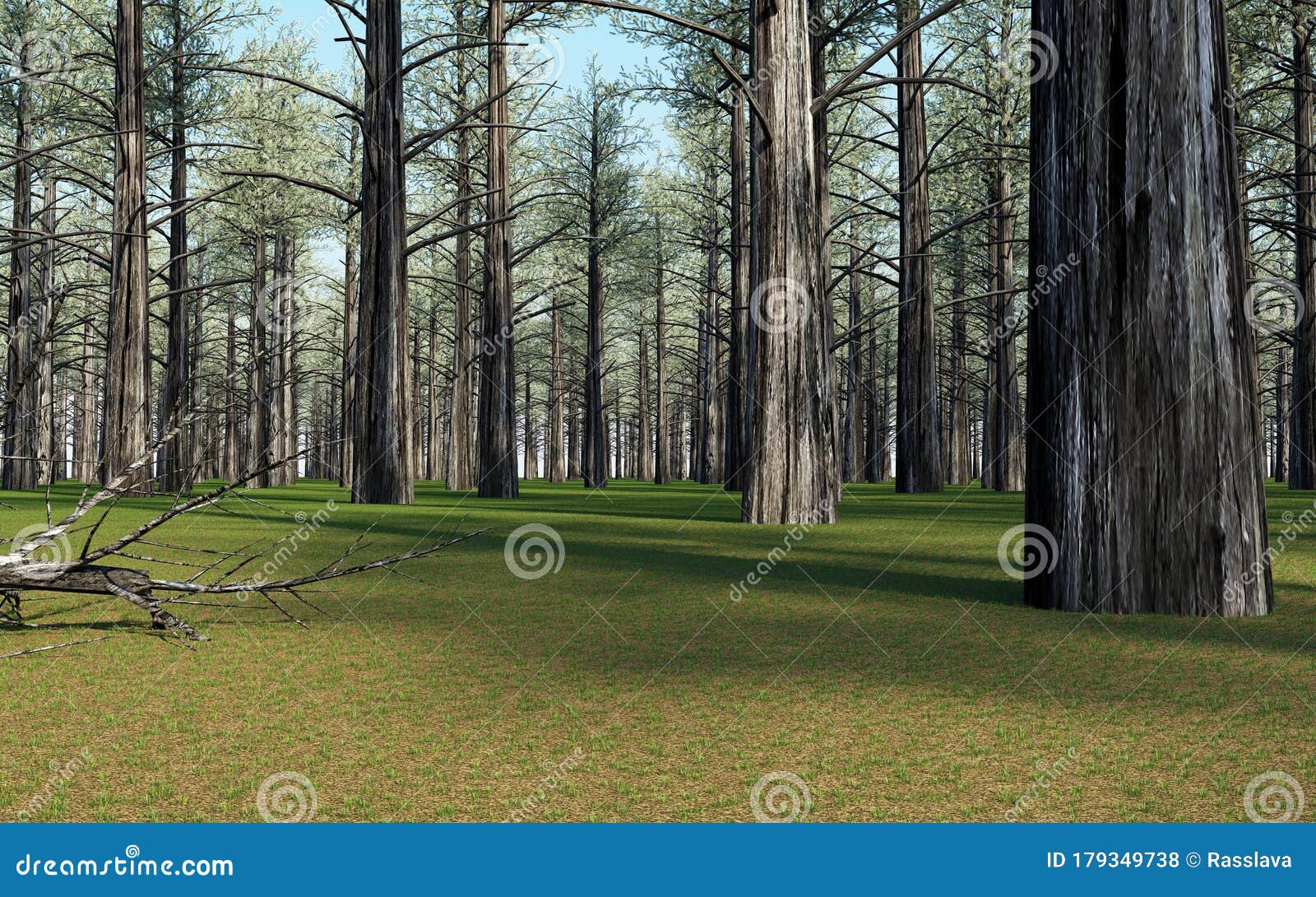 Quiet forest landscape. stock illustration. Illustration of ground ...