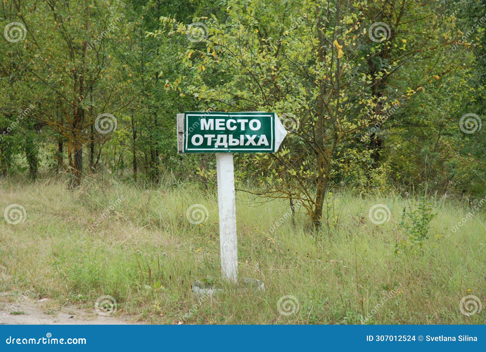 In a Quiet, Green Forest Clearing, There is a Sign Marking a Rest Area ...