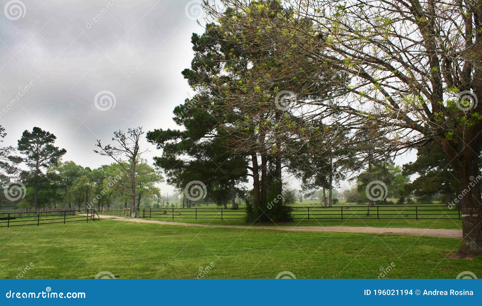 Quiet green texas ranch stock photo. Image of outdoor - 196021194