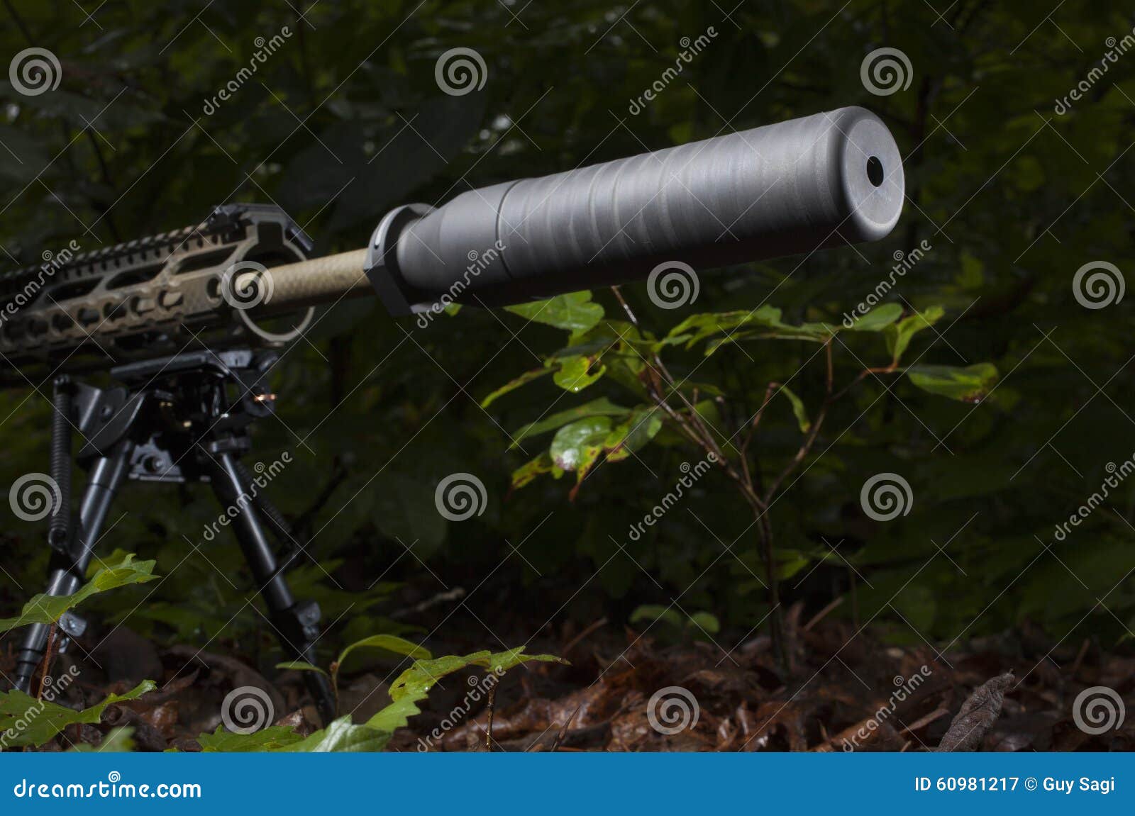 Quiet gun stock image. Image of riflescope, muzzle, green - 60981217