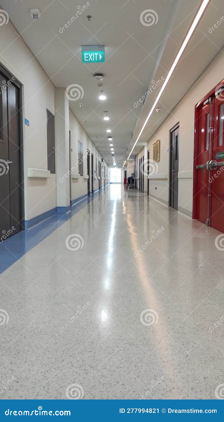 Quiet Hospital Room With Empty Beds, Sterile Medical Environment. Image ...