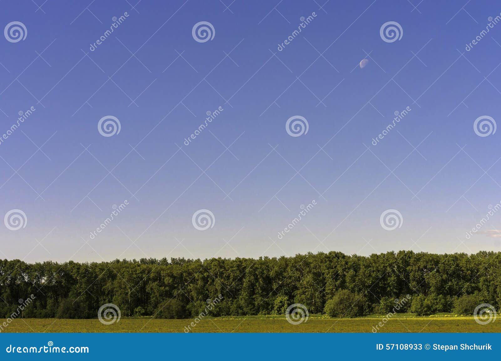 Quiet landscape stock image. Image of travel, countryside - 57108933