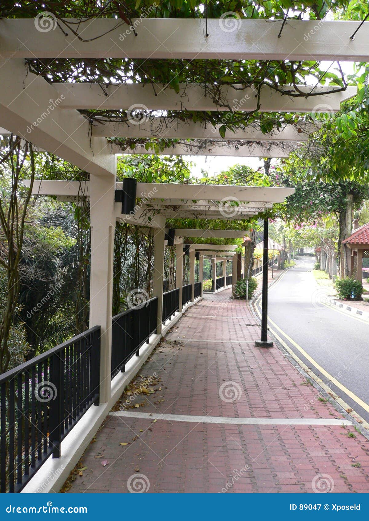 Quiet Lonely Path Picture. Image: 89047