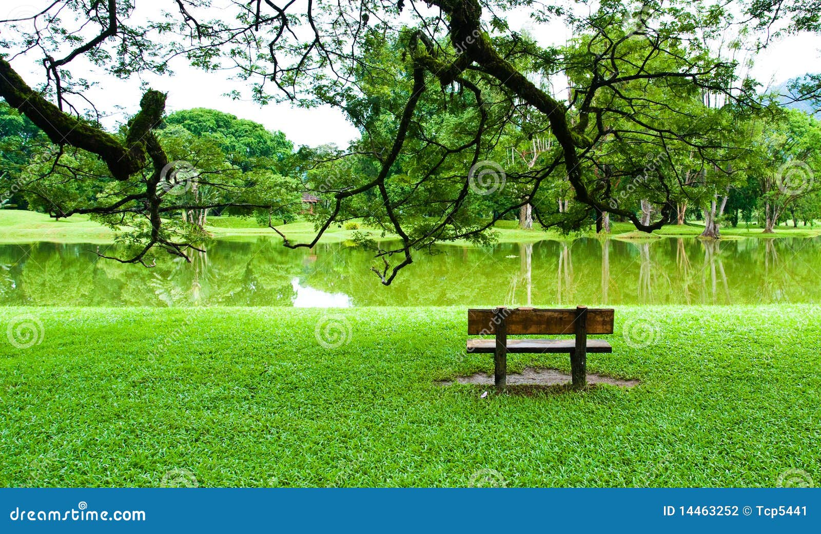 Quiet Long Chair stock photo. Image of talk, lake, chair - 14463252