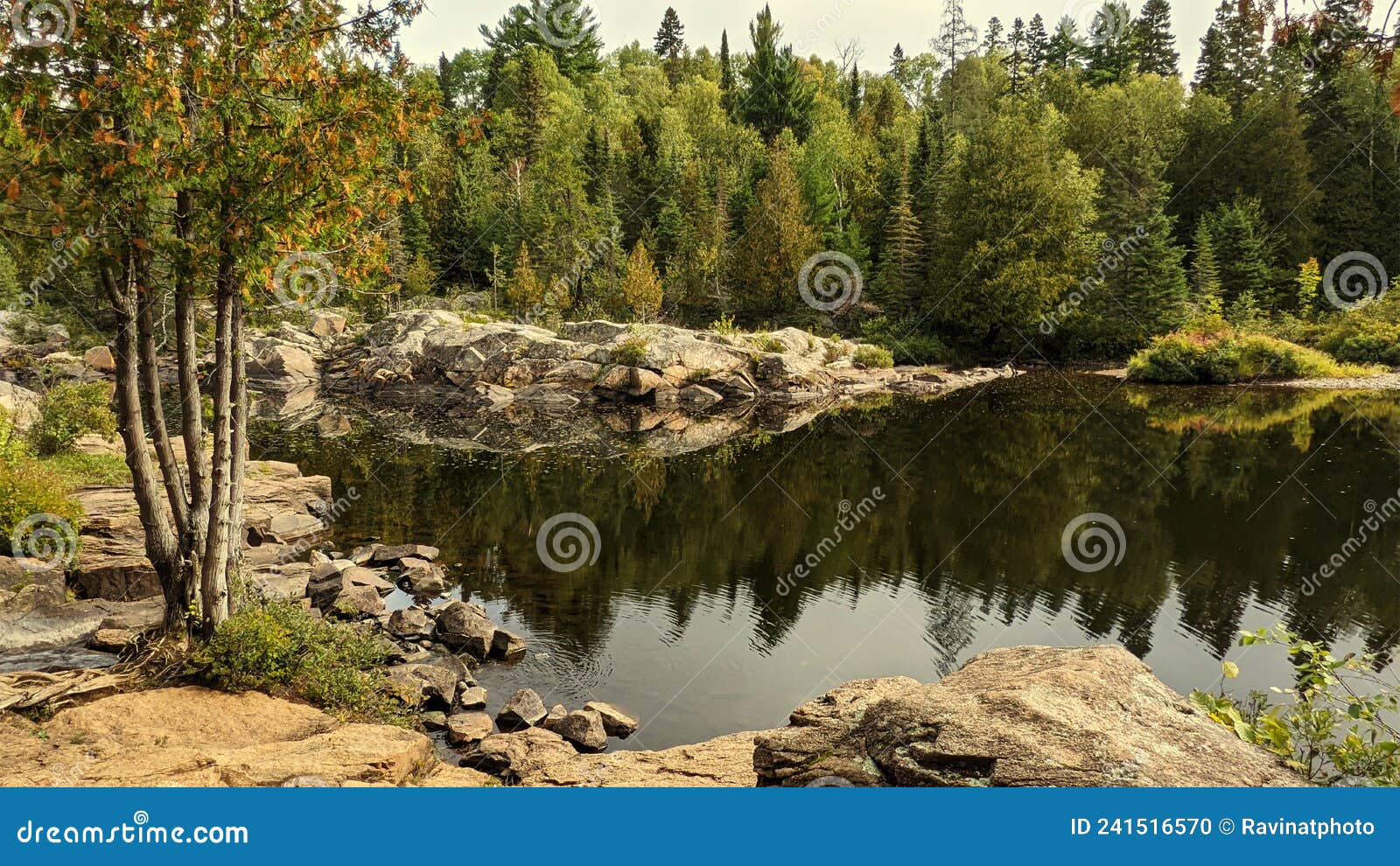 Quiet Morning at the Current River, Thunder Bay, on, Canada Stock Photo ...