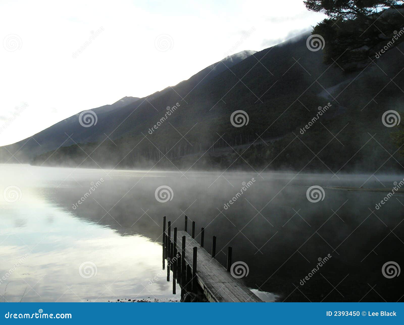 Quiet morning mist on lake stock photo. Image of shore - 2393450