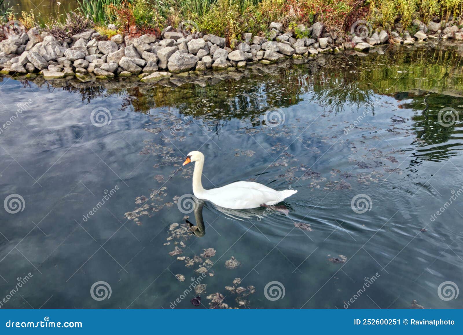 Quiet Navigation by the Rocks - Fall in Central Ontario, Canada Stock ...