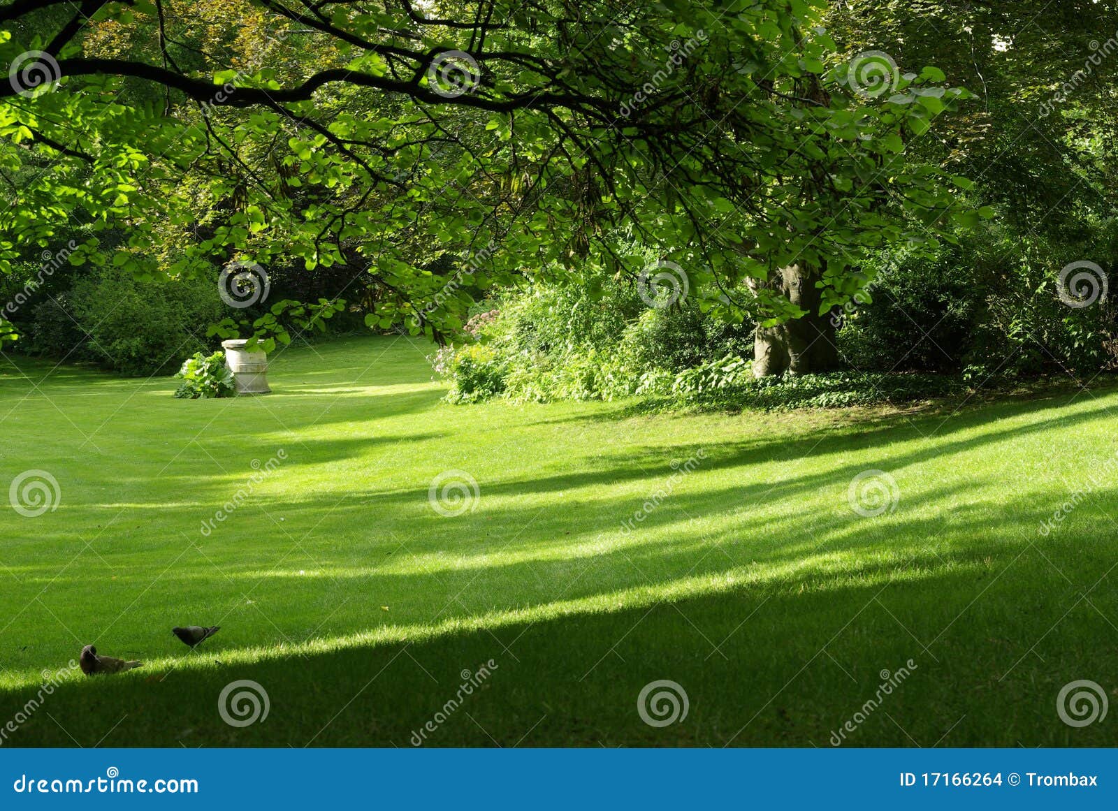 Quiet park stock photo. Image of relax, daylight, nature - 17166264