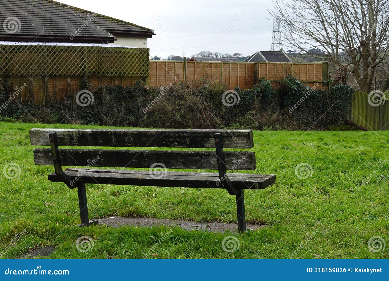 Quiet Park Bench Surrounded by Trees and Nature Stock Photo - Image of ...