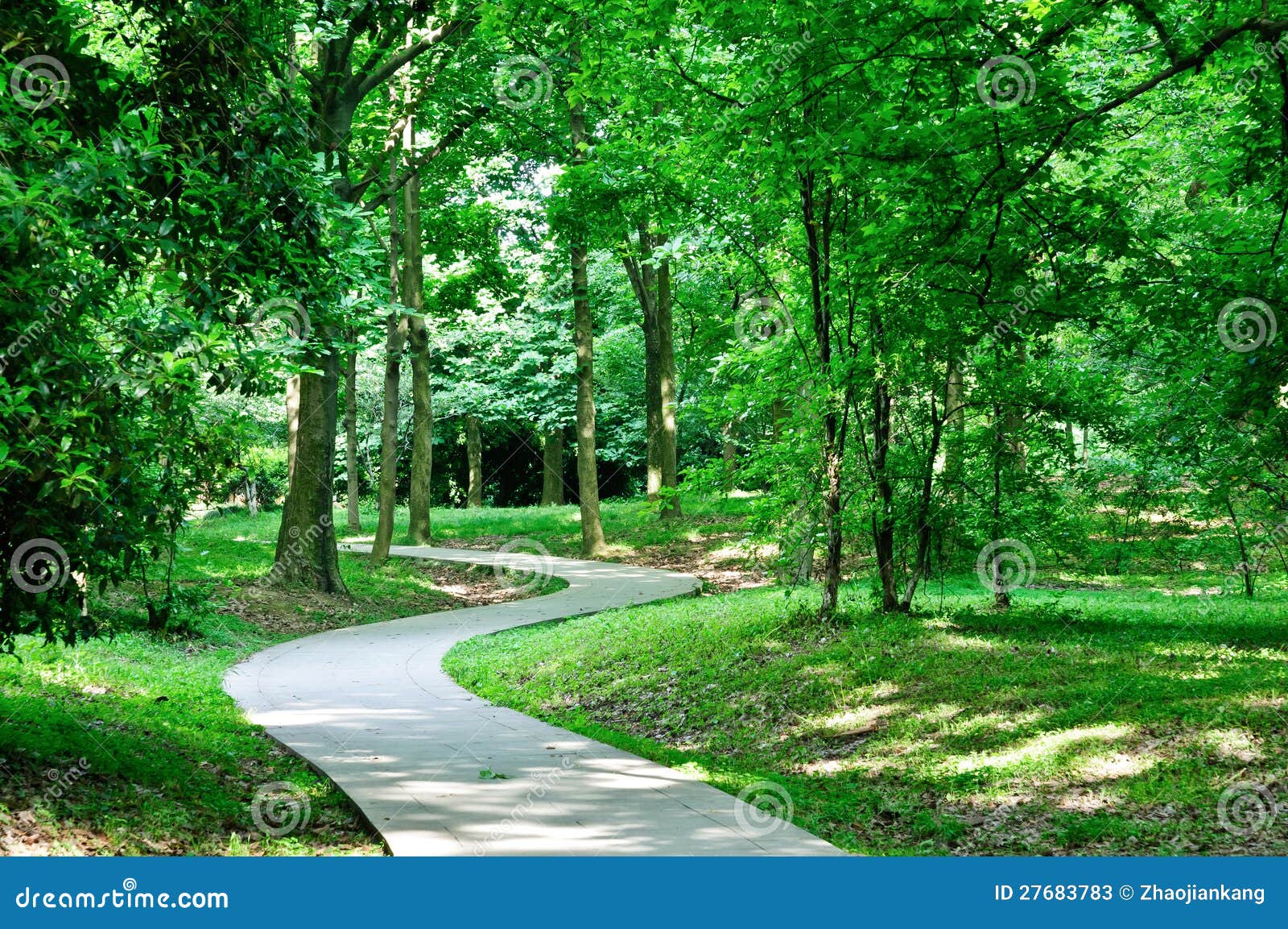 Quiet path stock image. Image of holidays, gardening - 27683783