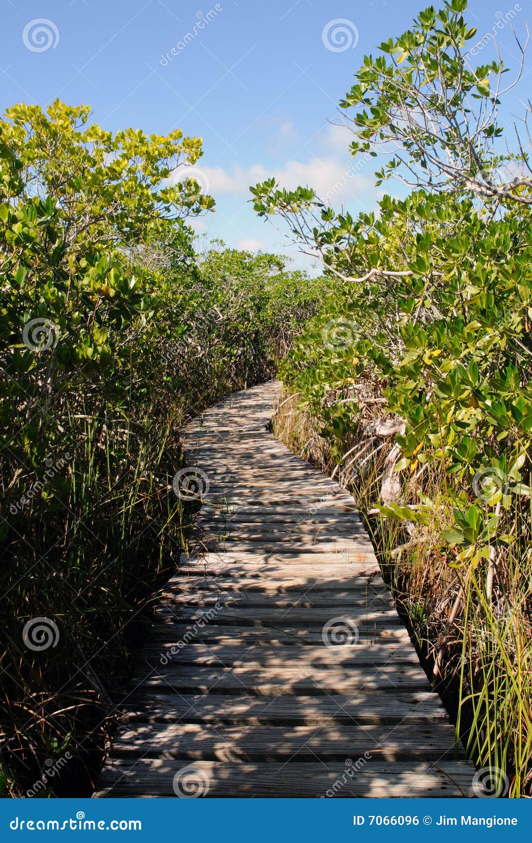 Quiet Path stock photo. Image of blue, curve, cast, quiet - 7066096