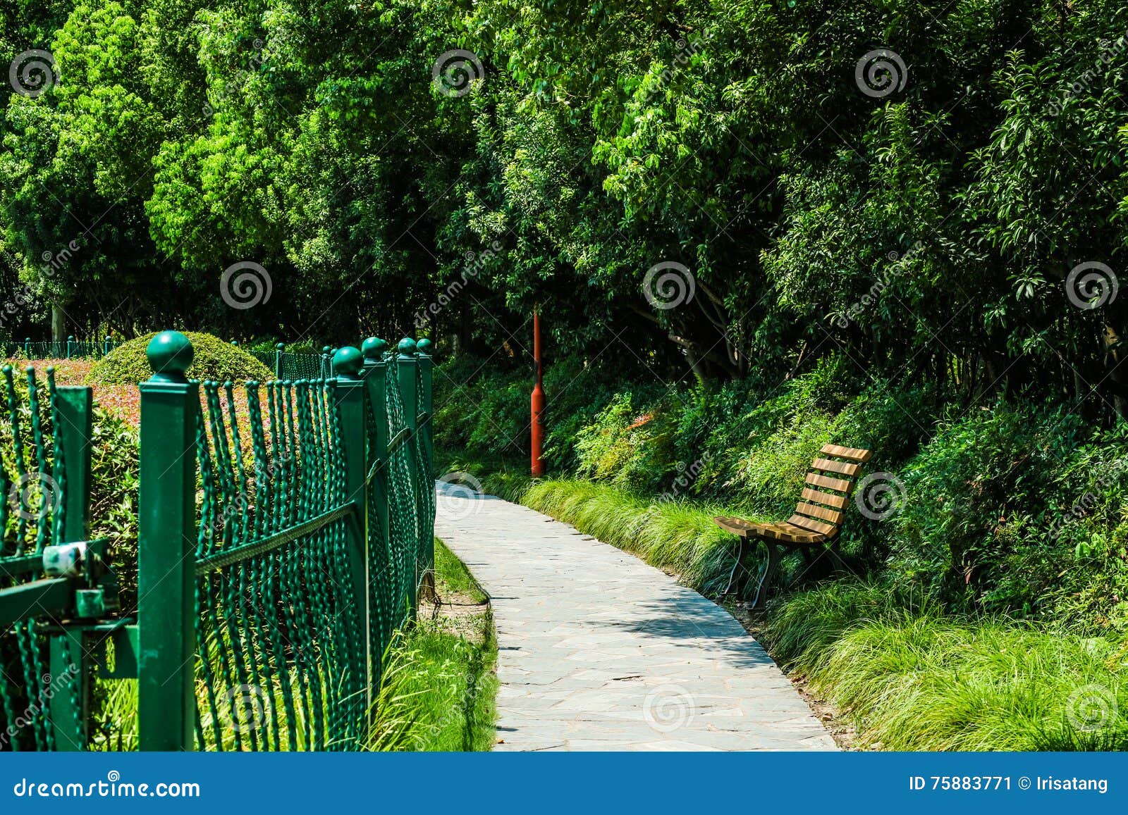 Quiet path stock image. Image of chair, leaves, trees - 75883771