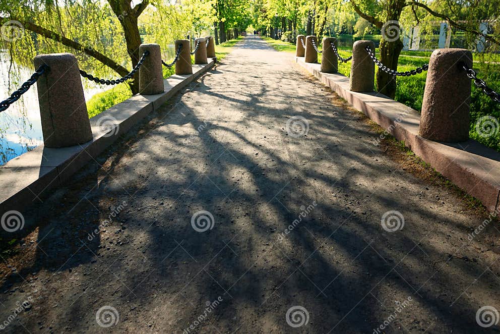 Quiet Path in a Dark Forest in the Spring Stock Image - Image of hiking ...
