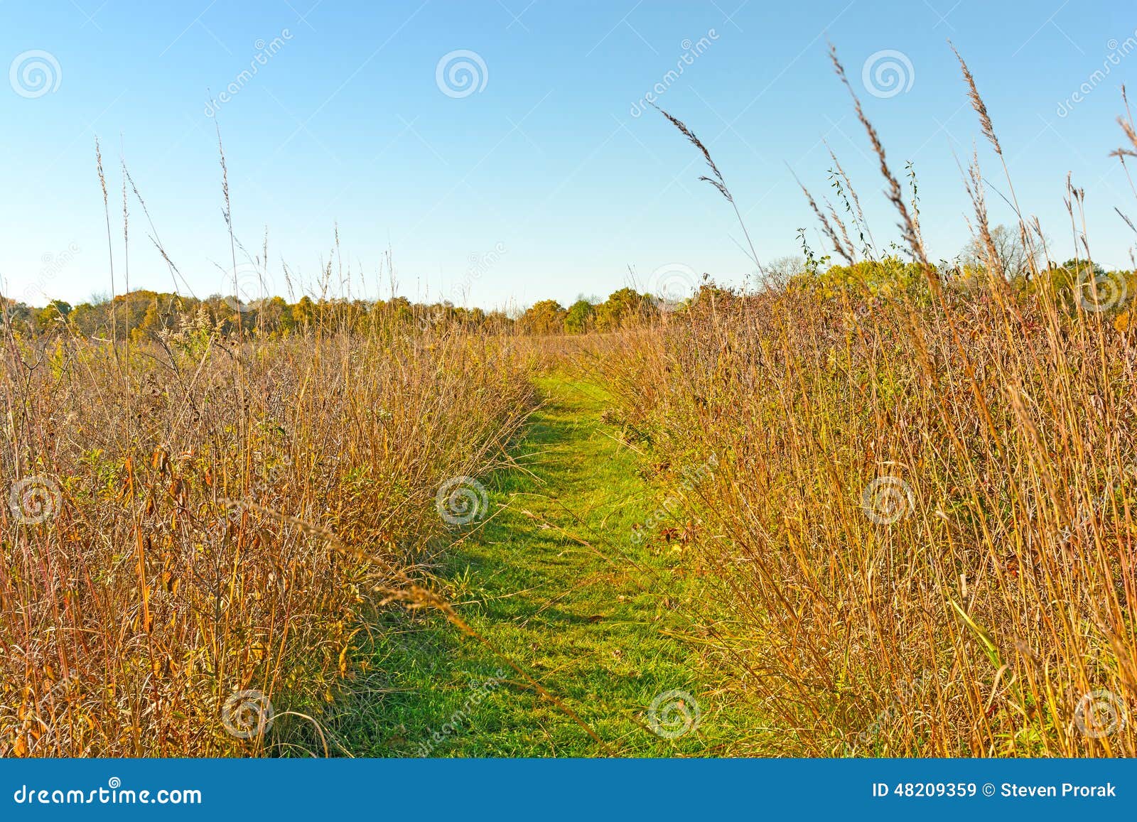 Quiet Path in To the Prairie Stock Image - Image of outdoor, natural ...