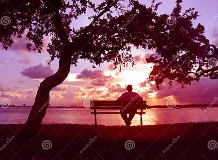 Quiet Place stock photo. Image of quiet, peaceful, activity - 313920