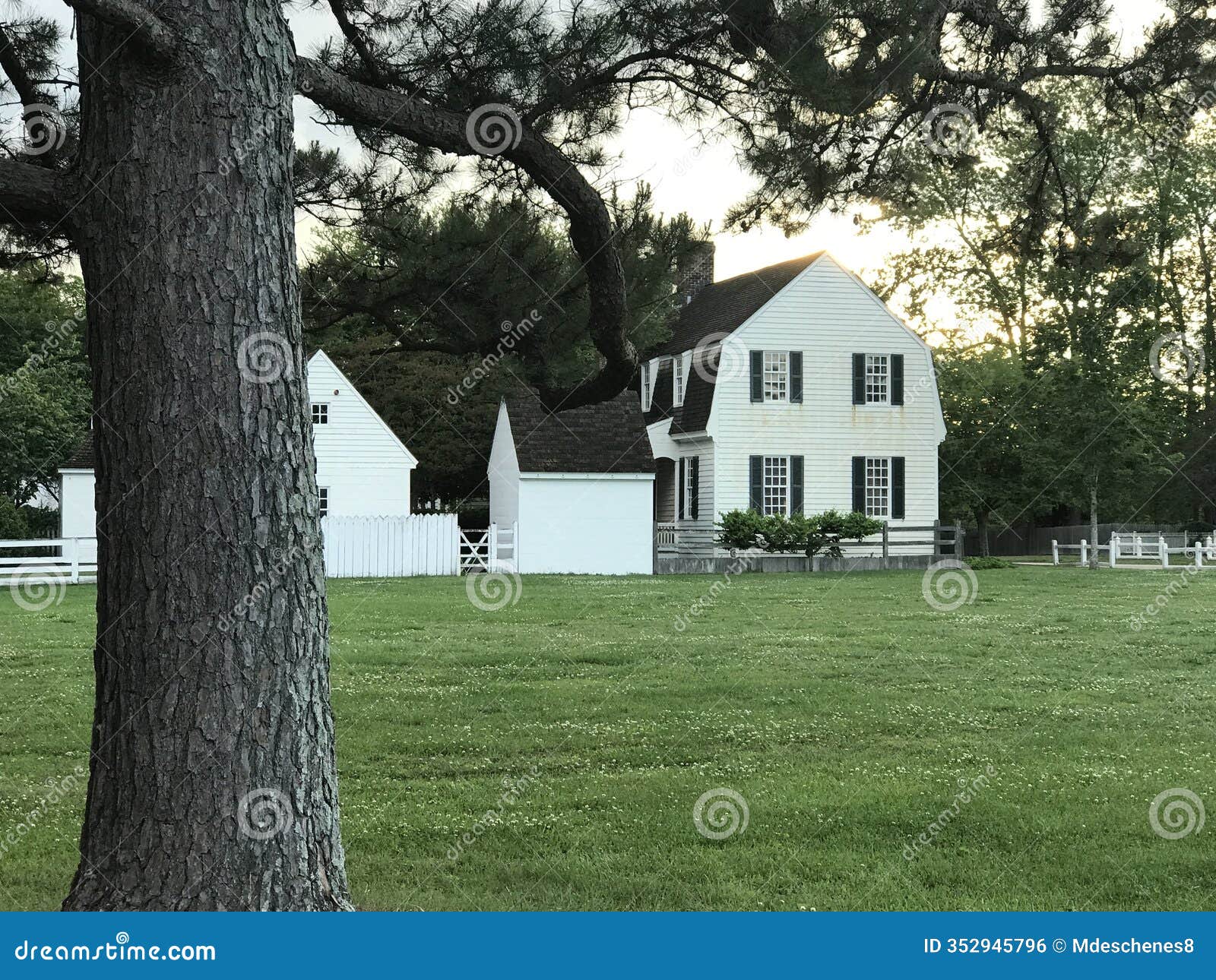 Back stock photo. Image of nature, back, place, serenity - 352945796