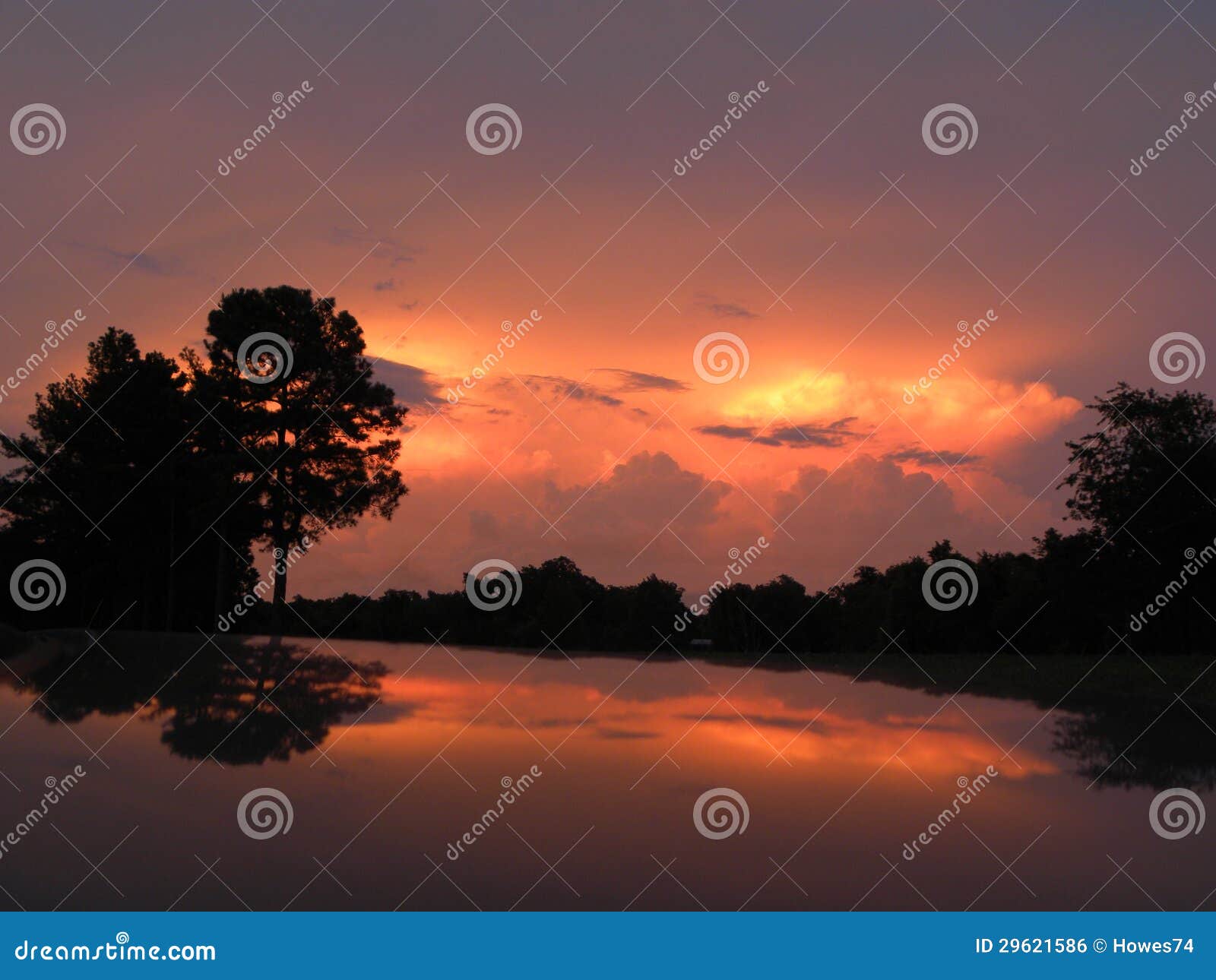 Quiet reflections stock photo. Image of beautiful, pink - 29621586