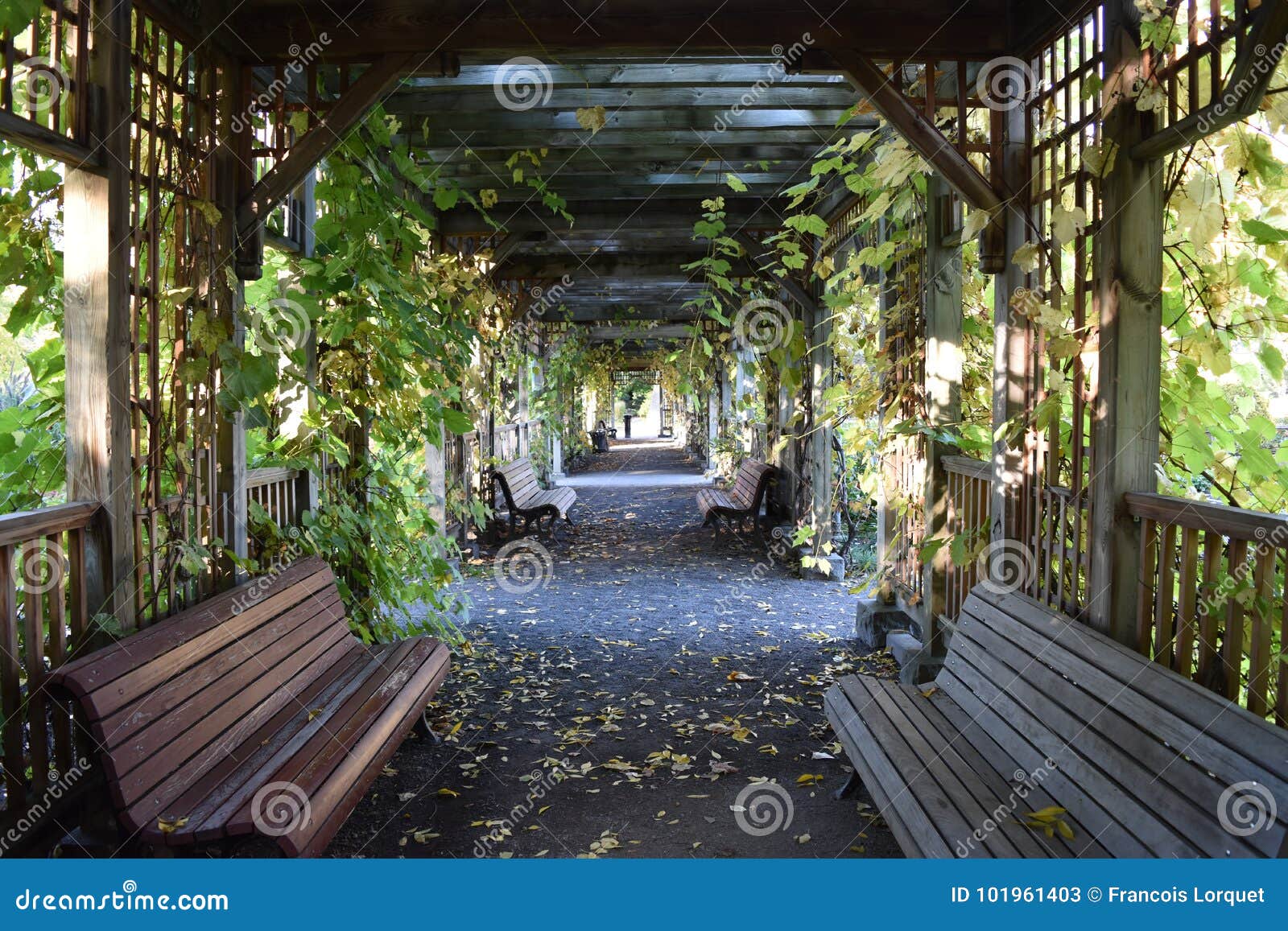 Quiet and Relaxing Park Area Stock Image - Image of colors, rest: 101961403