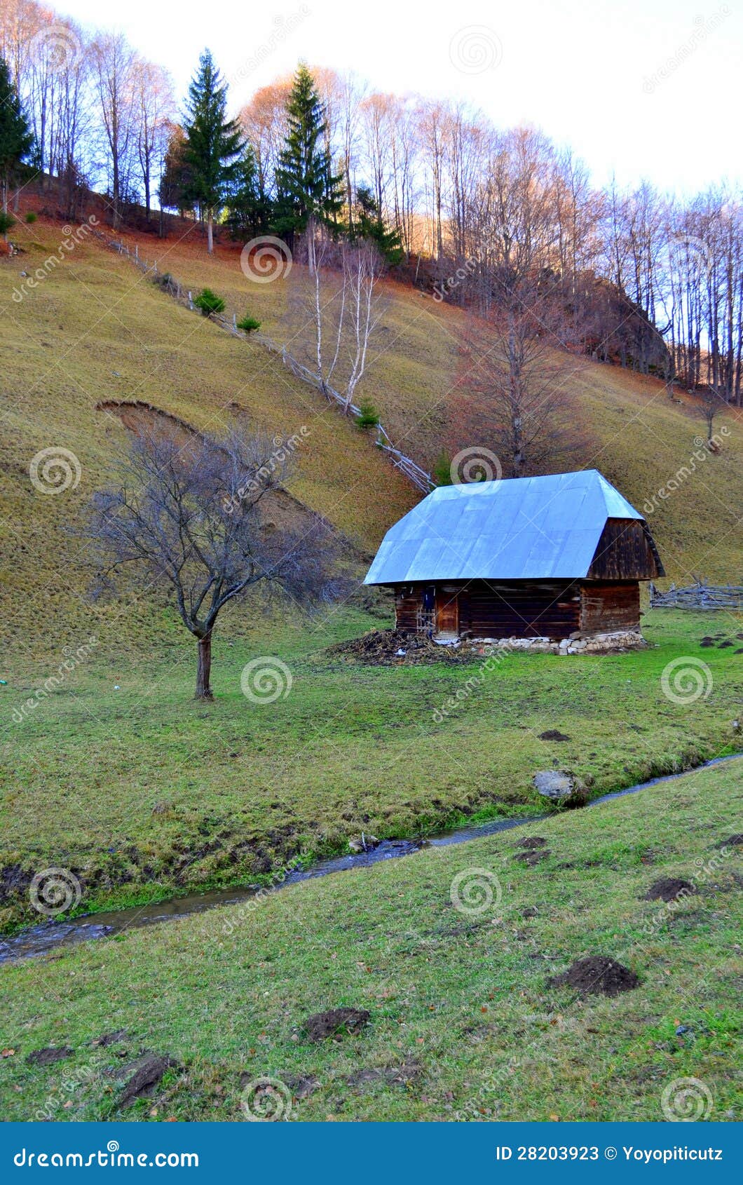 Quiet resting place stock image. Image of fence, healthy - 28203923