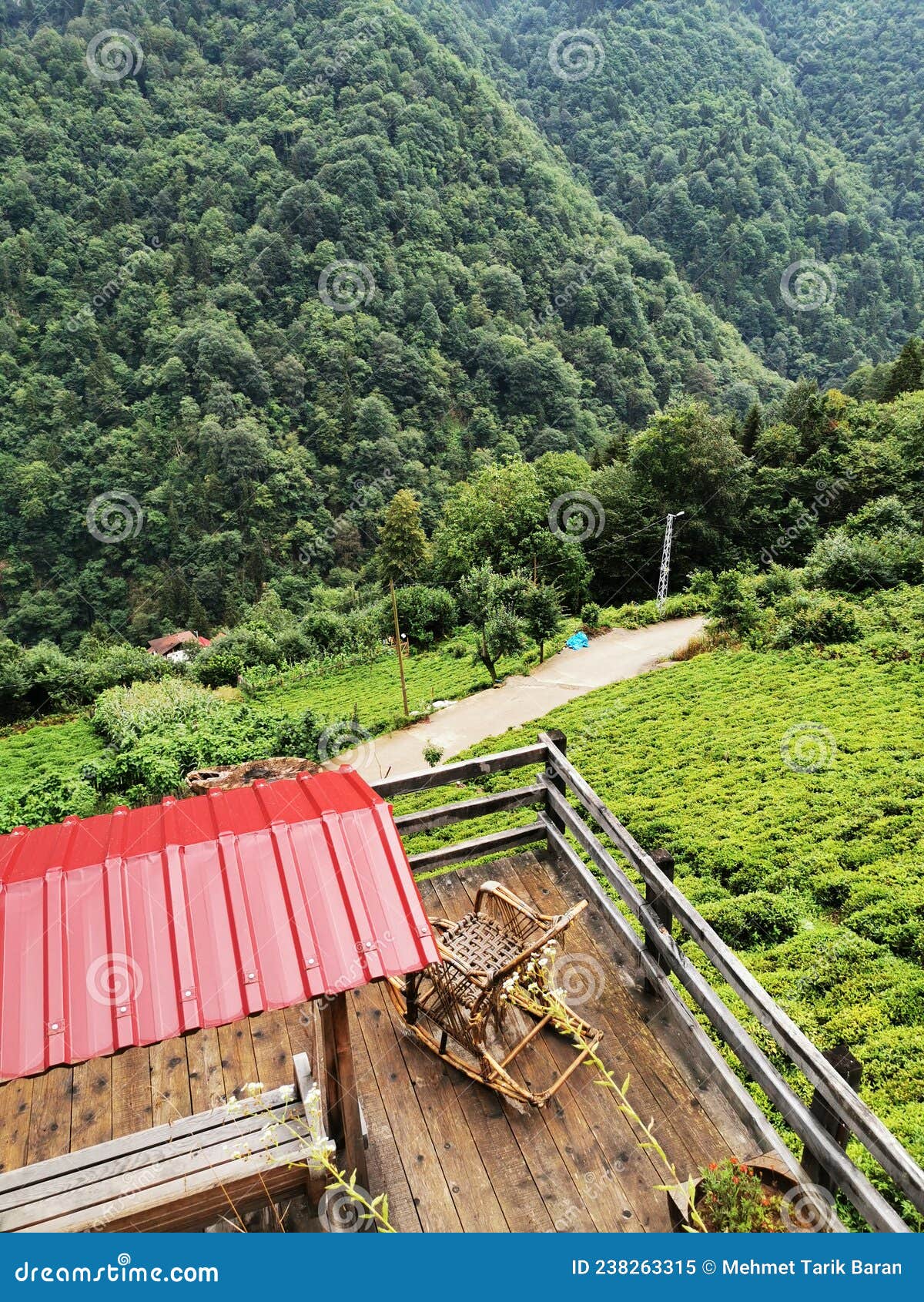 A Quiet Resting Place in the Green Nature at the Top of the Mountain ...