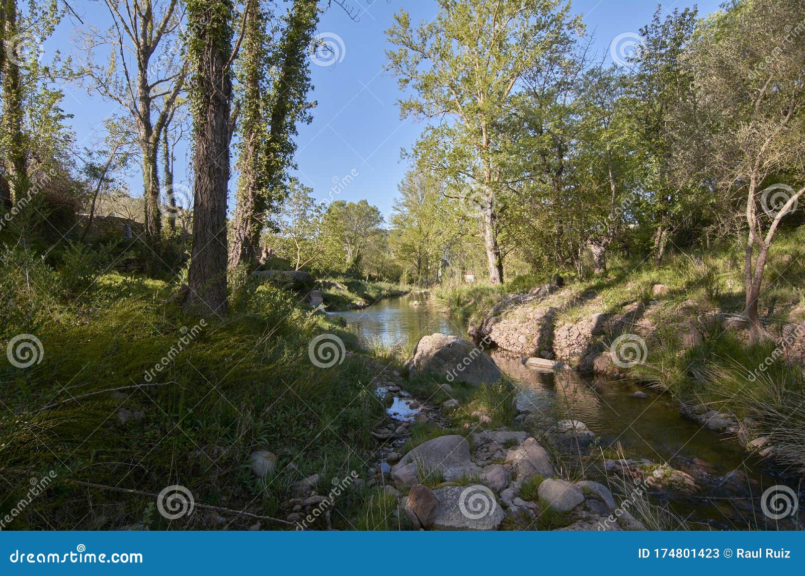 Quiet River on a Bright Spring Morning Stock Image - Image of loured ...