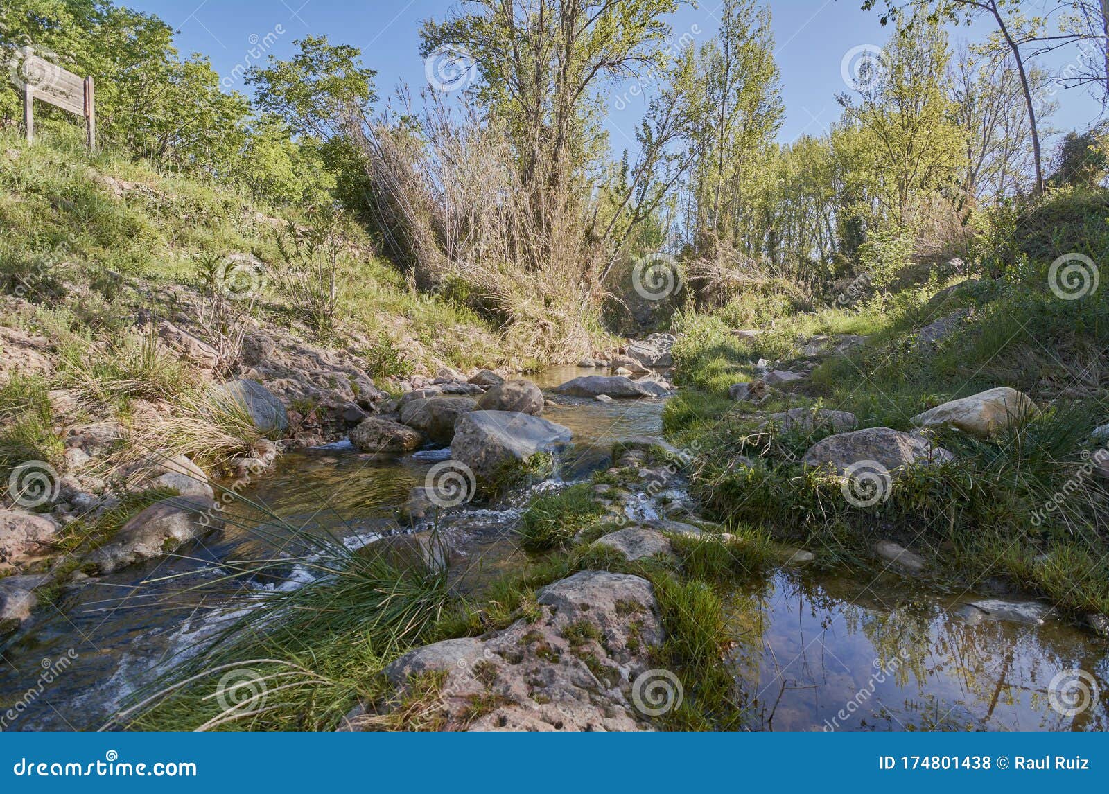 Quiet River on a Bright Spring Morning Stock Photo - Image of cascade ...
