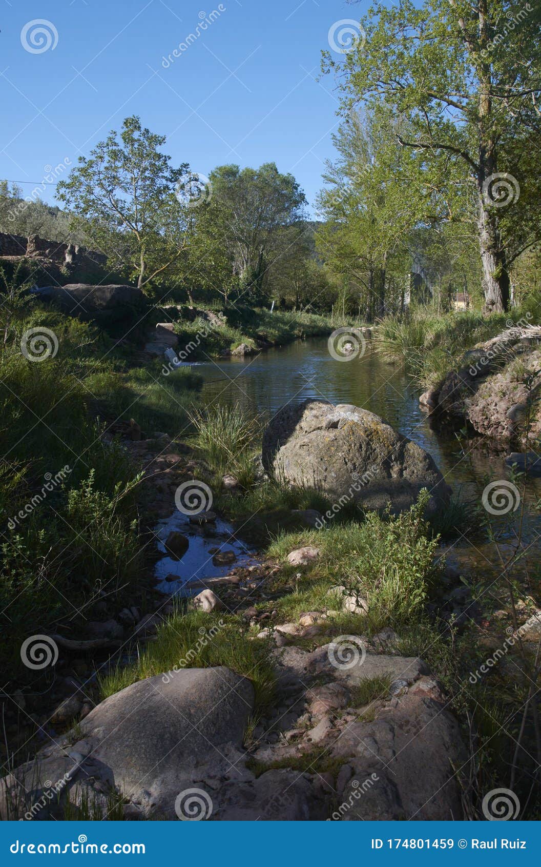 Quiet River on a Bright Spring Morning Stock Image - Image of mist ...