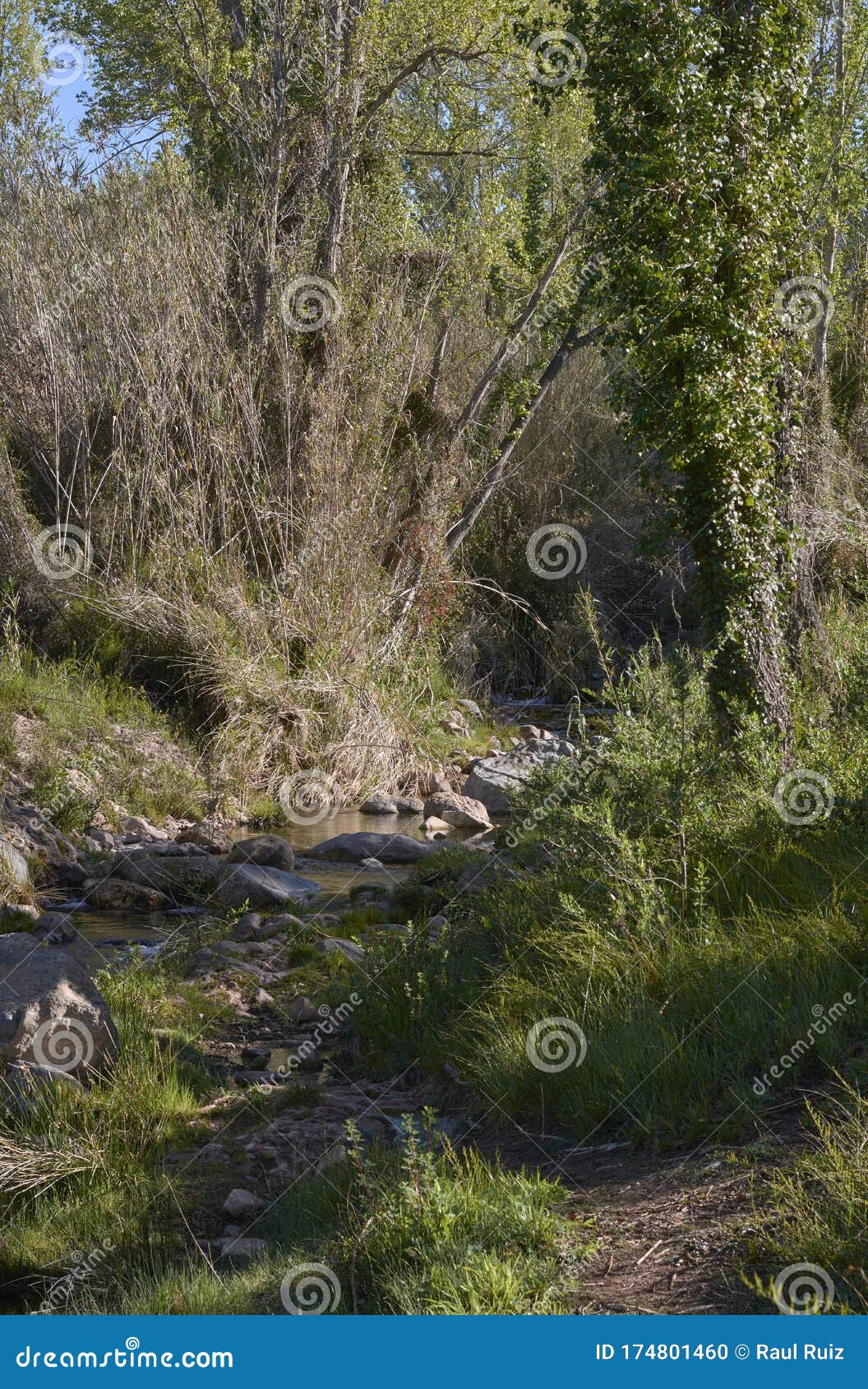 Quiet River on a Bright Spring Morning Stock Photo - Image of life ...