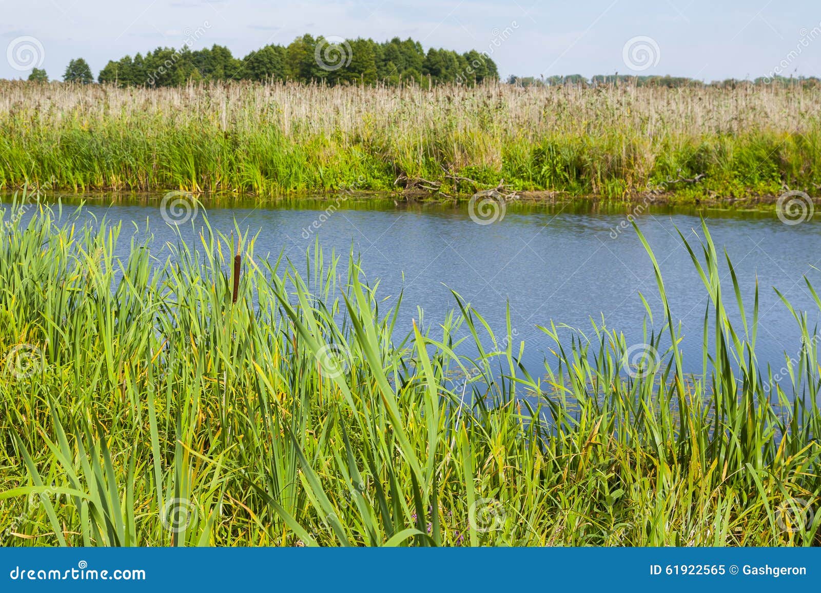 Quiet river. stock image. Image of podlasie, clouds, power - 61922565