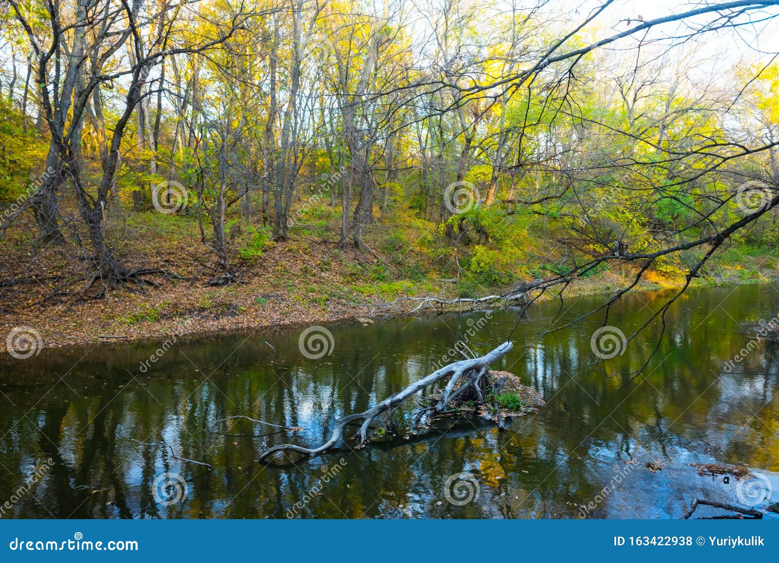 Quiet River Flow through the Forest Stock Photo - Image of autumn ...