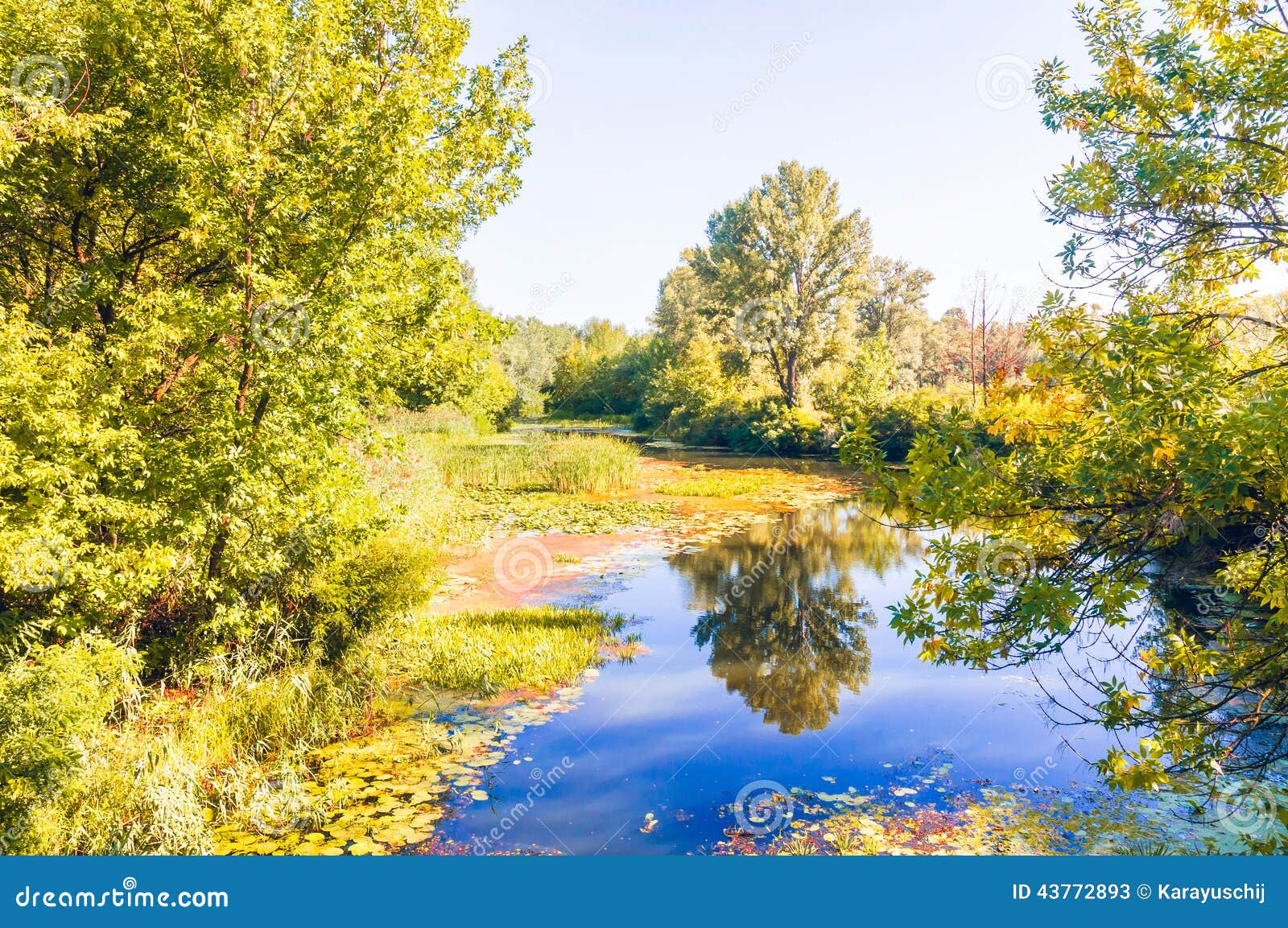 Quiet River in the Park stock image. Image of reflection - 43772893