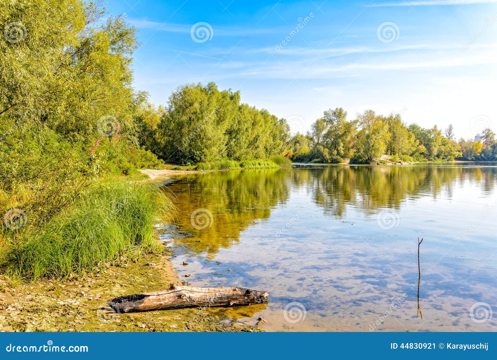 Quiet River with Trees stock image. Image of morning - 44830921
