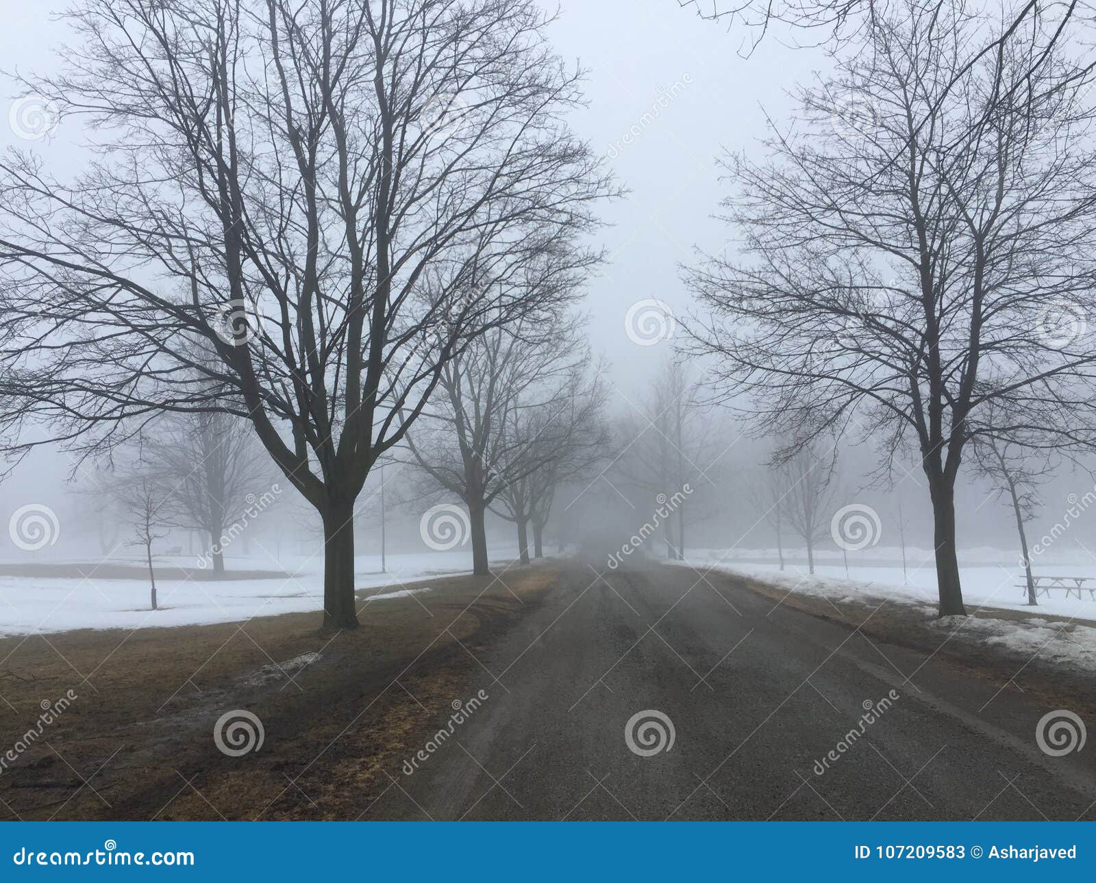 Quiet Road on a Crisp Winter Day Stock Image - Image of picturesque ...