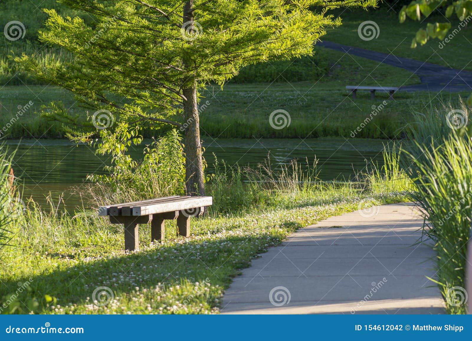 A Quiet Spot with Park Benches Along a Curved Walking Path Next To a ...