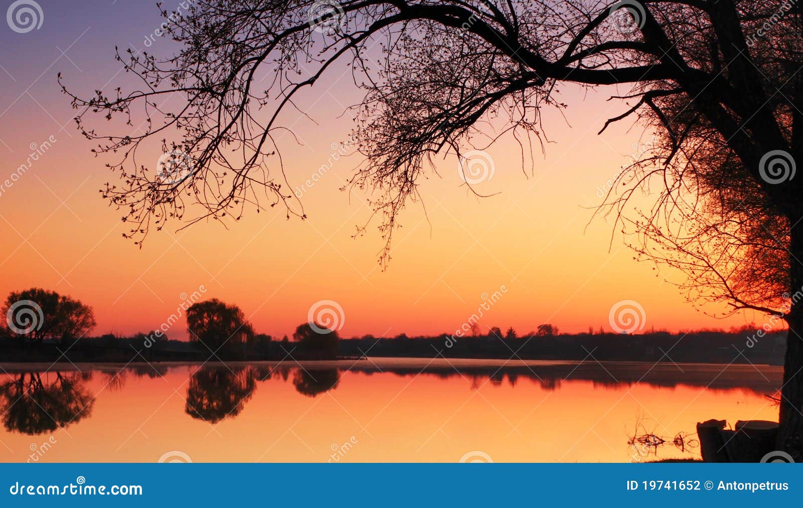 Quiet spring sunrise stock photo. Image of lake, gold - 19741652